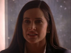 User blog:CEDJunior/Kate Payne (Ghost Whisperer) | Villainous Beauties ...