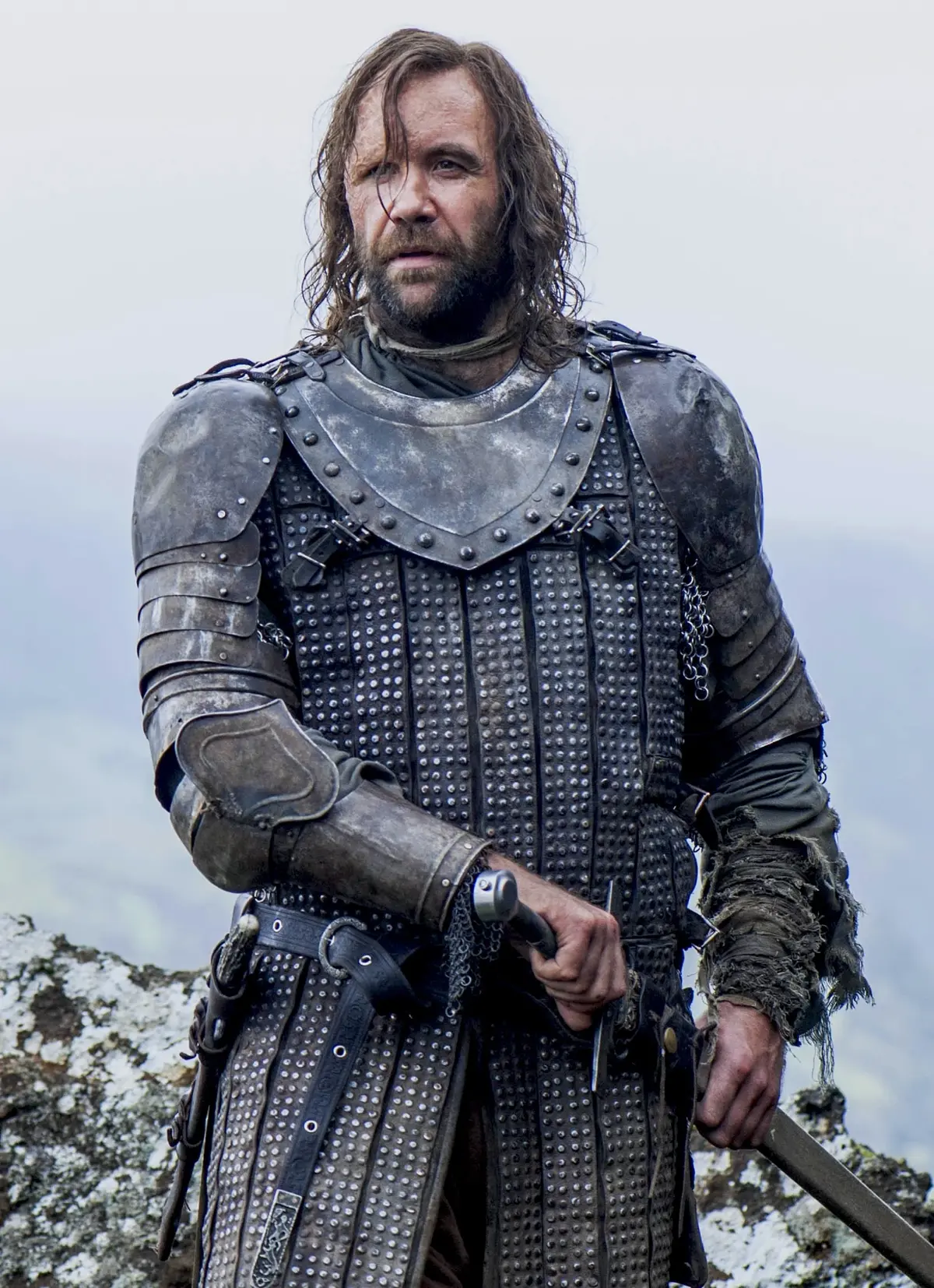 Sandor Clegane | Villainous Benchmark Wiki | Fandom