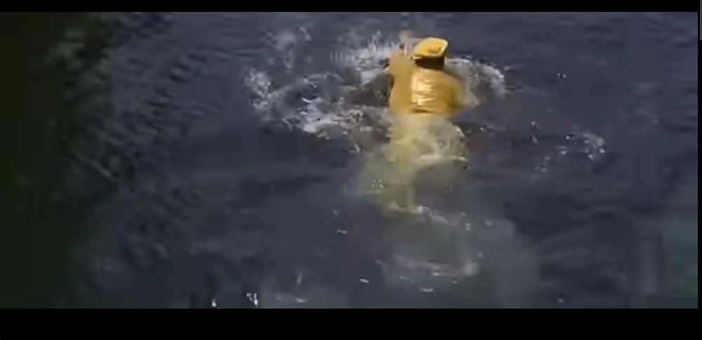 List Of Popeye Villains Defeats | Villains deafet Wiki | Fandom