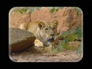 List of Barney and Friends Villains' defeat/gallery | Villains deafet ...