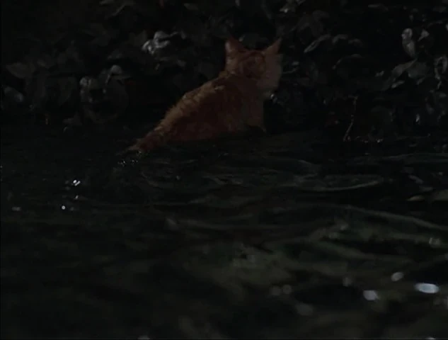 List Of Stuart Little Villains' Defeats | Villains deafet Wiki | Fandom