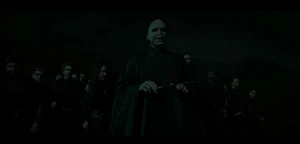 Lord Voldemort/Gallery | Villains Wiki | Fandom