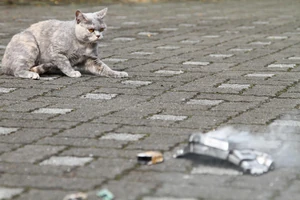 Mick (Kamen Rider W) | Villains Wiki | Fandom