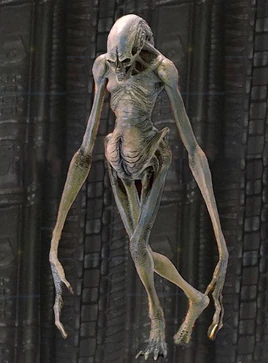 Newborn | Villains Wiki | Fandom