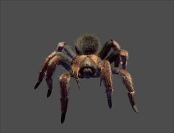 Eight Legged Freaks Cat Vs Spider