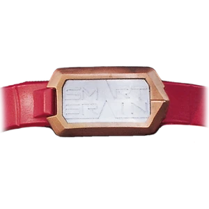 Riotroopers | Villains Wiki | Fandom