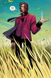 Two-Face (DC)/Gallery | Villains Wiki | Fandom