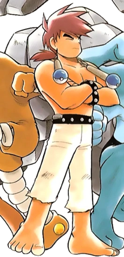 Bruno (Pokémon Adventures) | Villains Wiki | Fandom