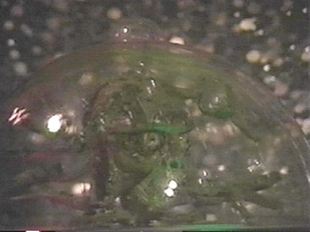 Arcturus | Villains Wiki | Fandom