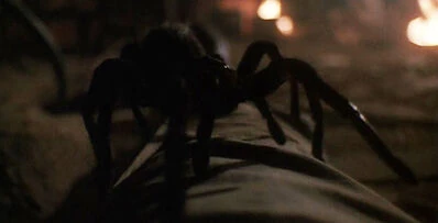Queen Spider (Arachnophobia) | Villains Wiki | Fandom