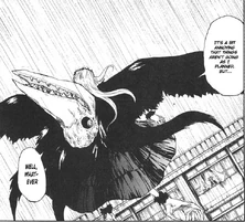 Crow-boss | Villains Wiki | Fandom