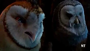 Allomere | Villains Wiki | Fandom