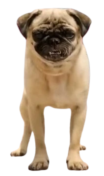 Cuda | Villains Wiki | Fandom