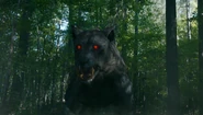 Malivore | Villains Wiki | Fandom