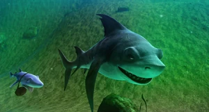 Troy (The Reef)/Gallery | Villains Wiki | Fandom