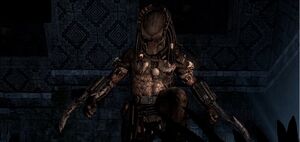 Predators (Predator)/Gallery | Villains Wiki | Fandom