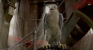 Falcon (Stuart Little)/Gallery | Villains Wiki | Fandom