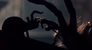 General Spider/Gallery | Villains Wiki | Fandom