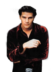 Angelus (Buffyverse) | Villains Wiki | Fandom