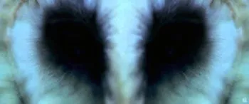 Aliens (The Fourth Kind) | Villains Wiki | Fandom