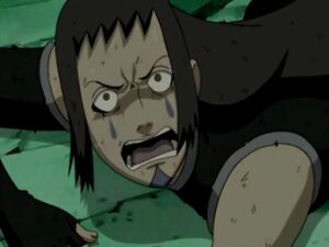 Ruiga | Villains Wiki | Fandom