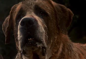 Cujo | Villains Wiki | Fandom
