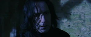 Severus Snape/Gallery | Villains Wiki | Fandom