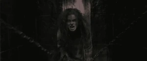 Bellatrix Lestrange | Villains Wiki | Fandom