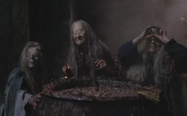 Stygian Witches | Villains Wiki | Fandom