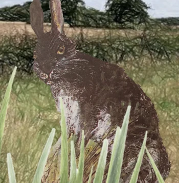 General Woundwort | Villains Wiki | Fandom