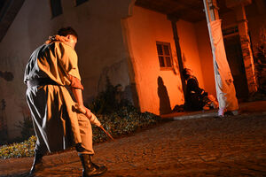 Bacht/Kamen Rider Falchion | Villains Wiki | Fandom