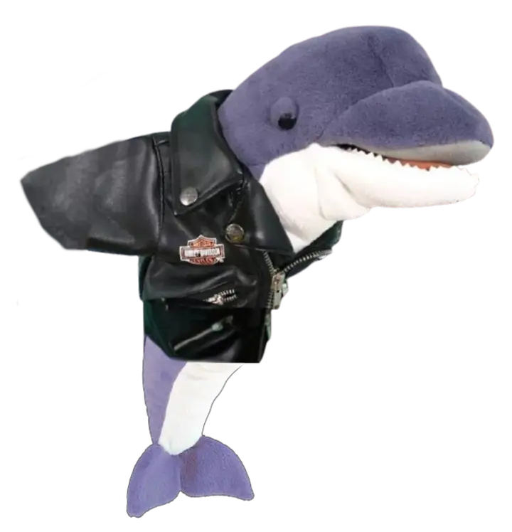 Loan Dolphin | Villains Wiki | Fandom