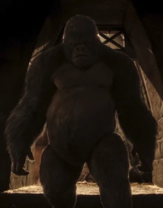 Grodd (Arrowverse)/Gallery | Villains Wiki | Fandom