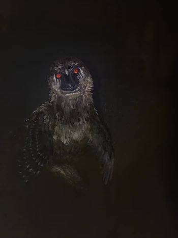 Undiscovered Troodontids | Villains Wiki | Fandom