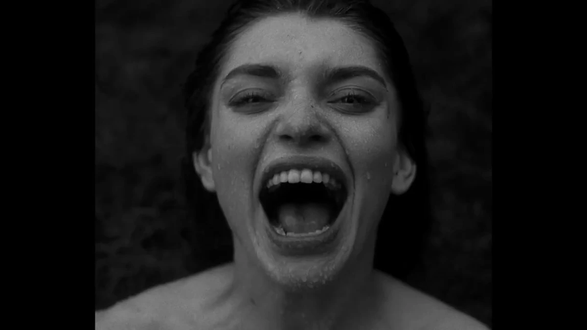 The Mermaid (The Lighthouse) | Villains Wiki | Fandom