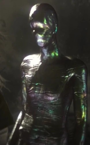 The Shimmer | Villains Wiki | Fandom