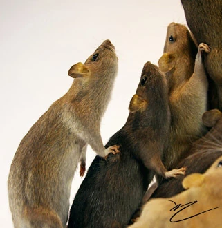 Rats (Welkin Weasels) | Villains Wiki | Fandom