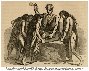 Daevites | Villains Wiki | Fandom