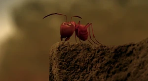 Butor | Villains Wiki | Fandom