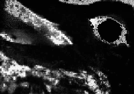 SCP-444-JP | Villains Wiki | Fandom