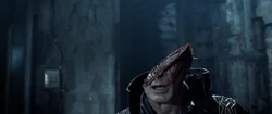 Viktor Wiki Underworld Fandom