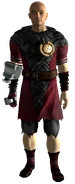 Caesar's Legion | Villains Wiki | Fandom