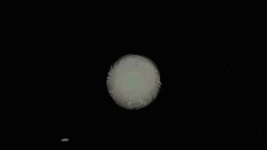 Void Termina/Gallery | Villains Wiki | Fandom