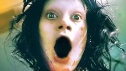 the expressionless story