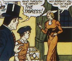 Tigress (DC)/Gallery | Villains Wiki | Fandom