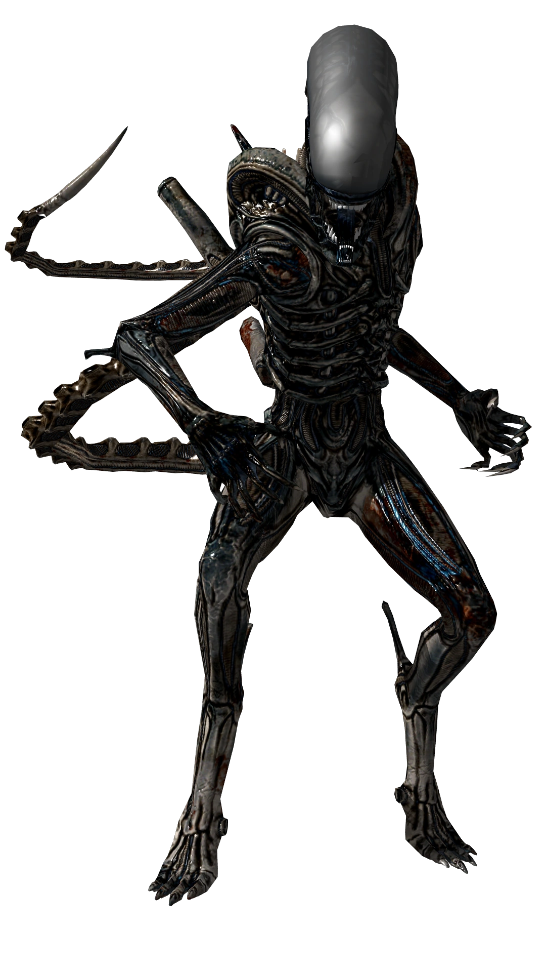 Xenomorph