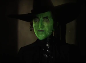 Wicked Witch of the West (Warner Bros.)/Gallery | Villains Wiki | Fandom