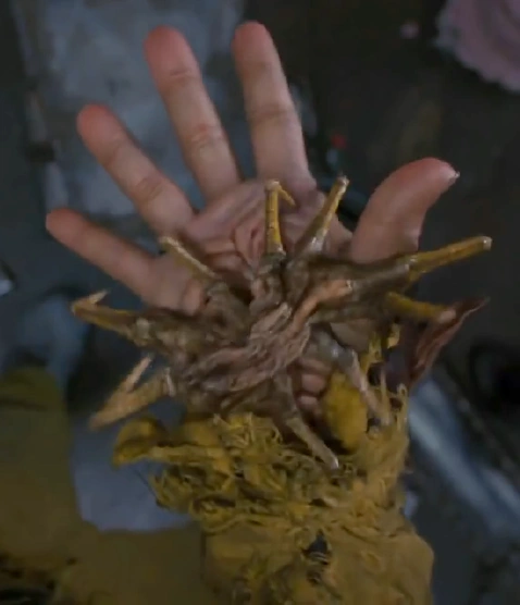 Boris The Animal Hand