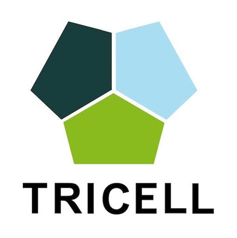 Project R -> Guidebook