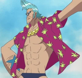 Franky (One Piece) | Villains Wiki | Fandom